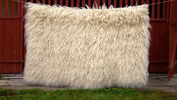 Čerga - Olga Zirojević - Peščanik