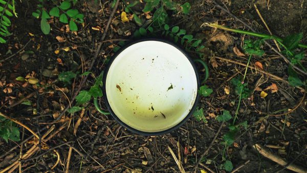 „Precrtavanje“ - Dejan Ilić - Peščanik