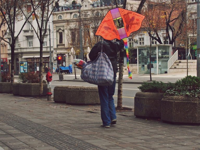 Ministarstvo glupe sile - Ljubodrag Stojadinović - Peščanik