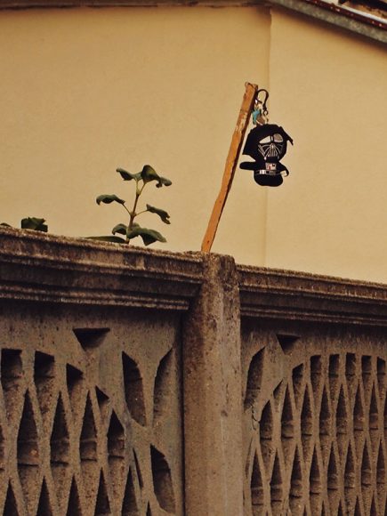 Pitanje svih pitanja – rod ili pol - Tanja Ignjatović - Peščanik