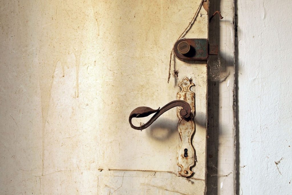 Vulinova donja leđa - Ljubodrag Stojadinović - Peščanik