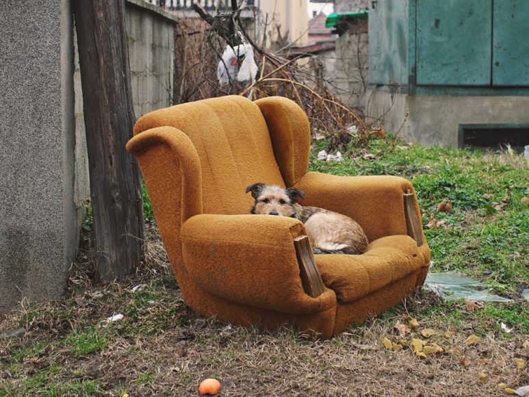 Kerovi - Dejan Ilić - Peščanik