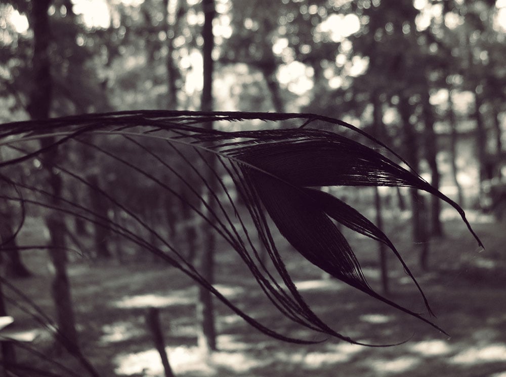 Račak 27 Years Later: Indictment, Facts and Denial - Nataša Kandić ...